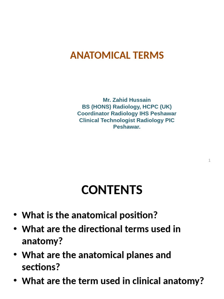 Anatomical Terms | PDF | Anatomical Terms Of Motion | Anatomical Terms ...
