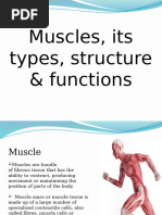 Muscular System Grade 4 Science | PDF | Wellness