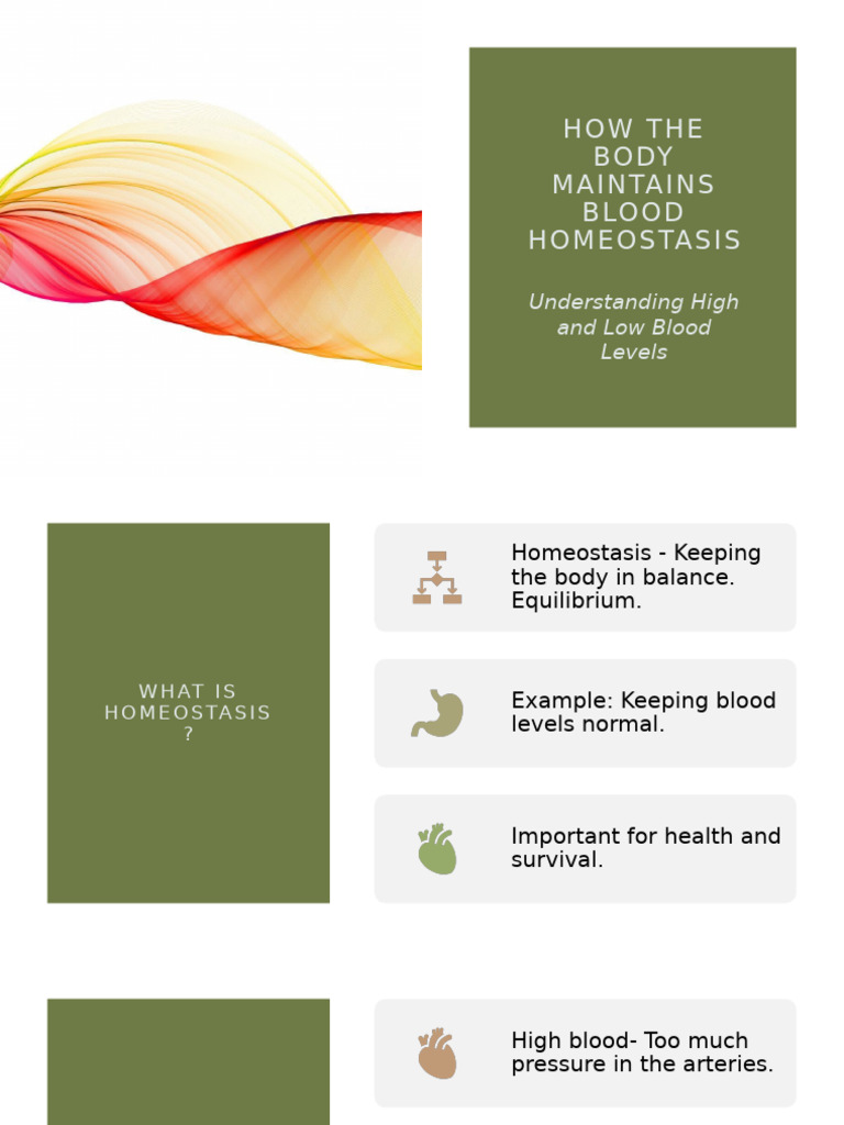 Homeostasis in Blood Pressure | PDF | Homeostasis | Blood Pressure