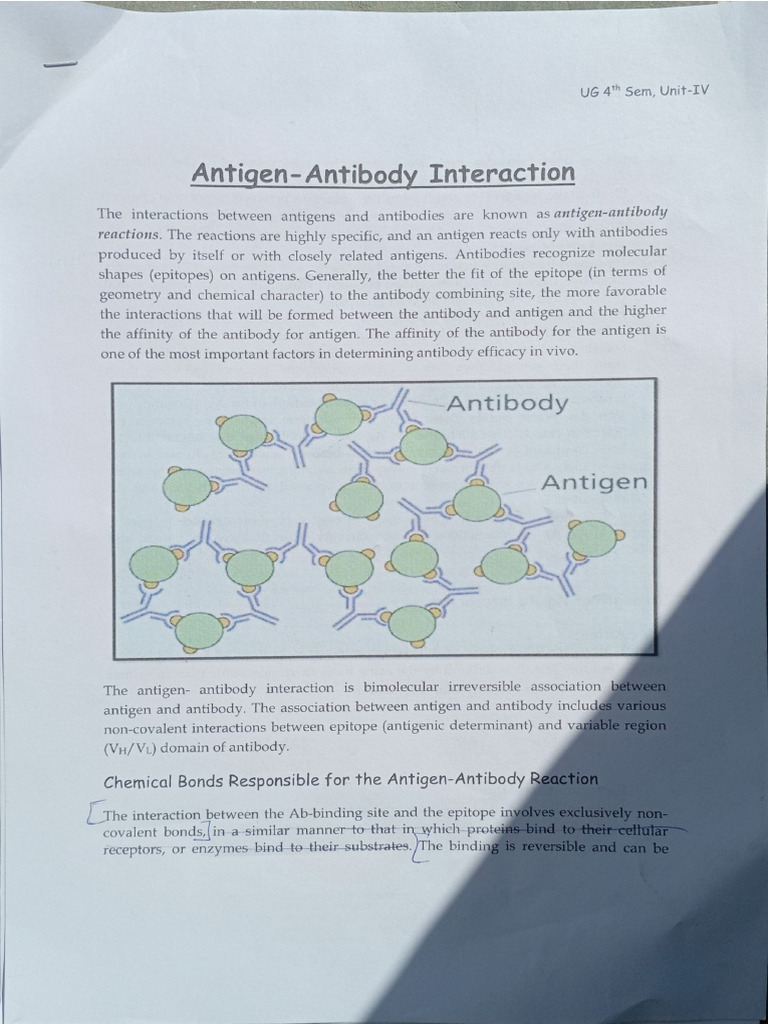Antigen - Antibody Interaction | PDF