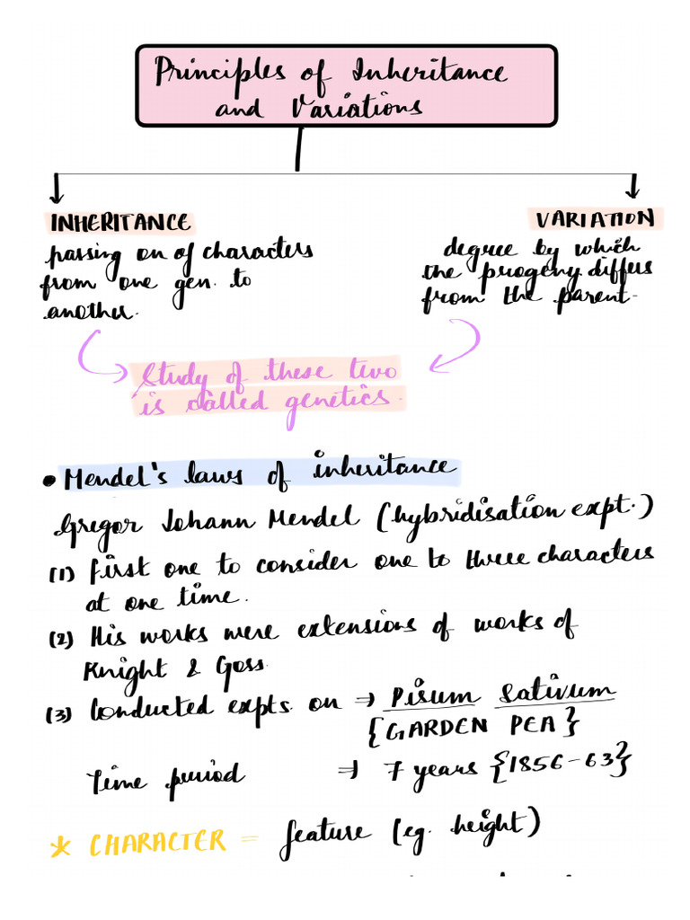 Principles of Inheritance | PDF