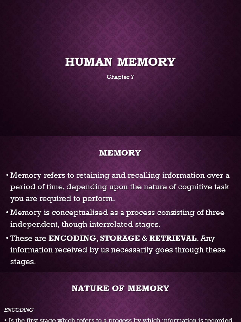 Chapter 7 Human Memory | PDF | Recall (Memory) | Memory