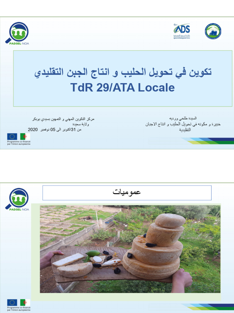 TDR 29 PPT Formation Laitiere Sidi Boubekeur Saida 22 | PDF