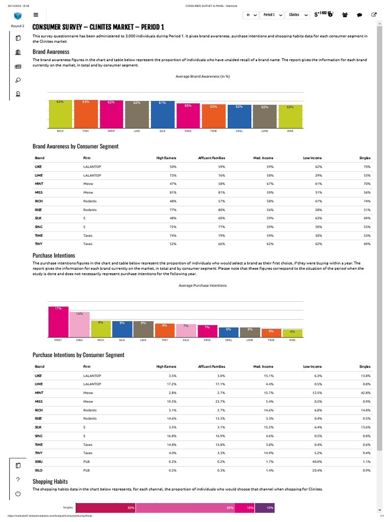 CONSUMER SURVEY & PANEL - Markstrat | PDF | Business | Economies