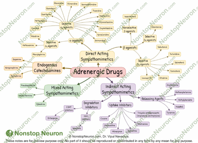 Quick Classification of Adrenergic Drugshhjj | PDF