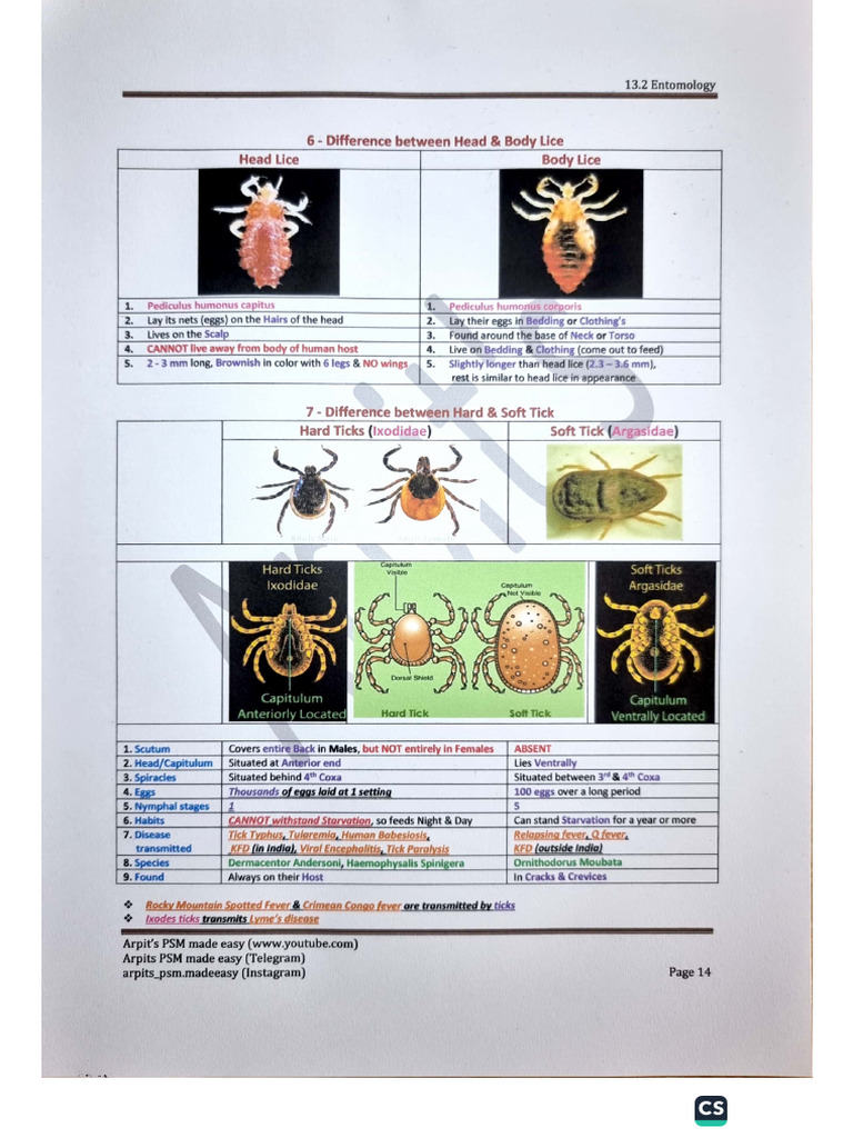 7 - Hard Tick Vs Soft Tick | PDF