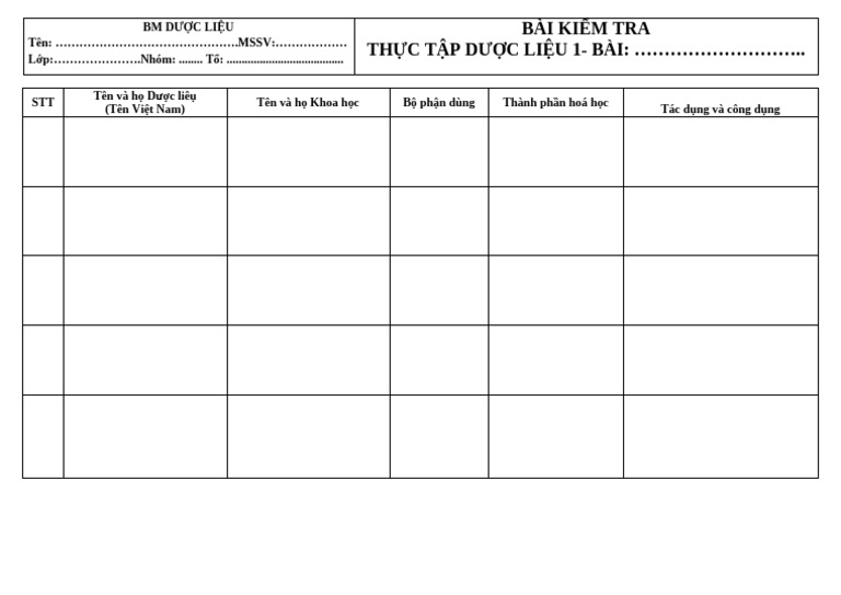 Giay Kiem Tra NTDL | PDF