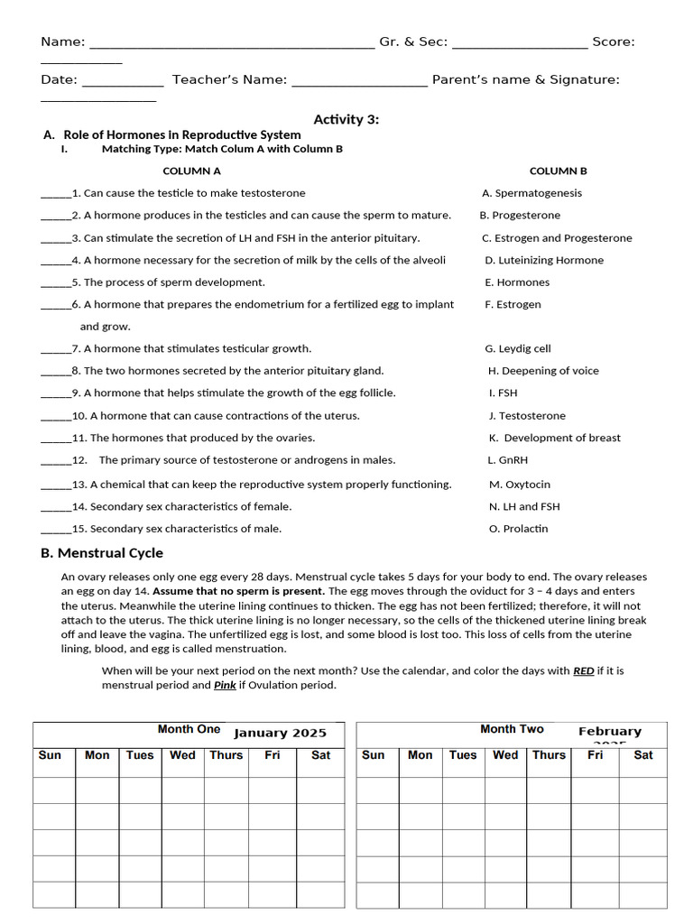 Hormones and Menstrual Cycle Overview | PDF | Menstrual Cycle ...