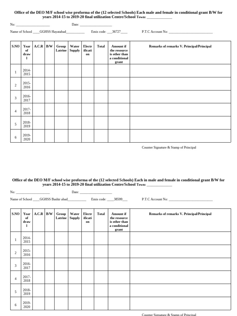 Office of The DEO Conditional Grant-1 (Updated) | PDF