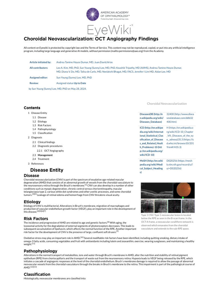 Choroidal Neovascularization - OCT Angiography Findings - EyeWiki | PDF ...