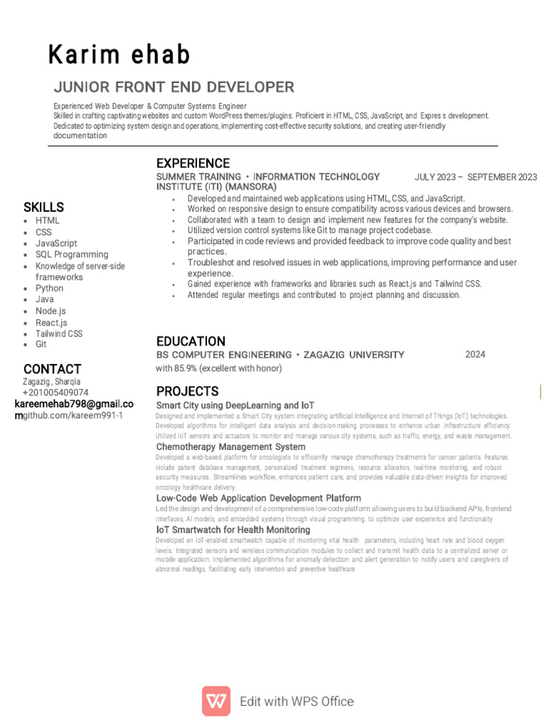 Junior Front End Developer Profile | PDF | Internet Of Things | World ...