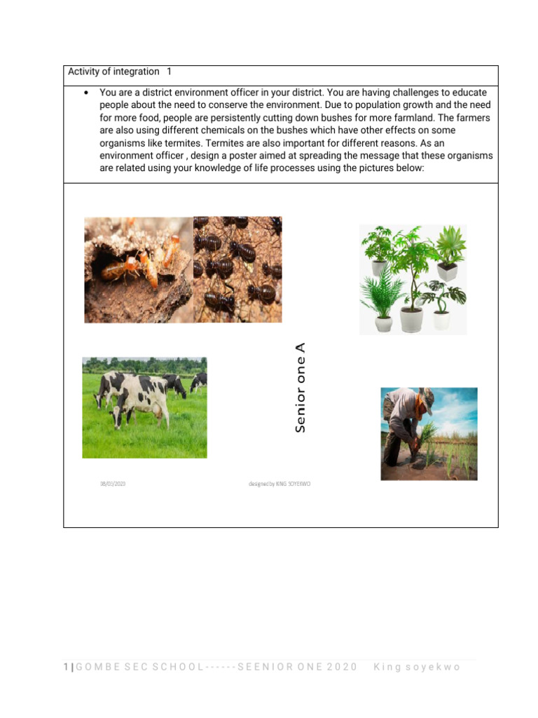 Senior One Activities of Integration | PDF