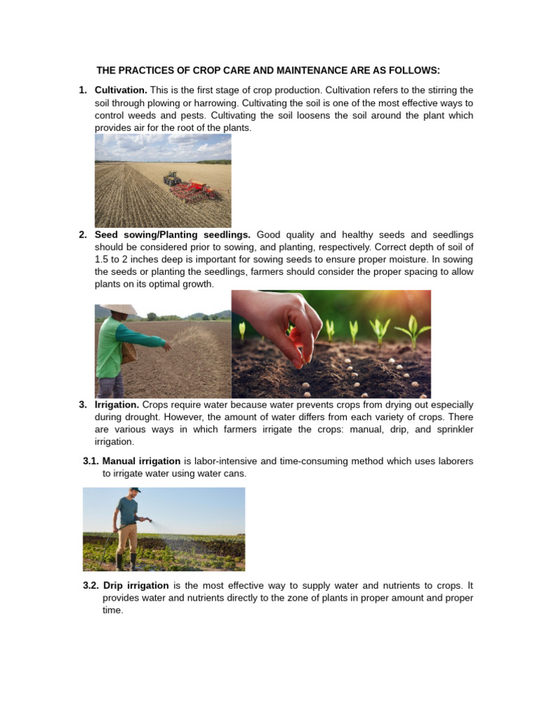 Crop Care and Maintenance Practices | PDF | Irrigation | Herbicide