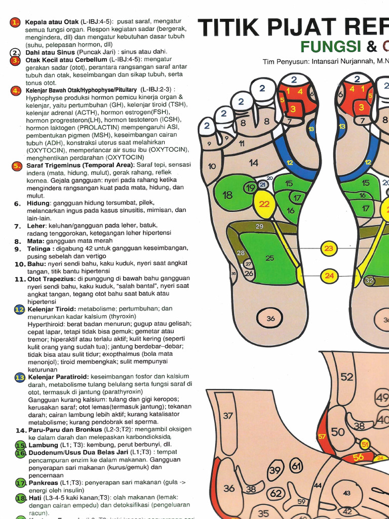 Reflexy 3 300dpi | PDF