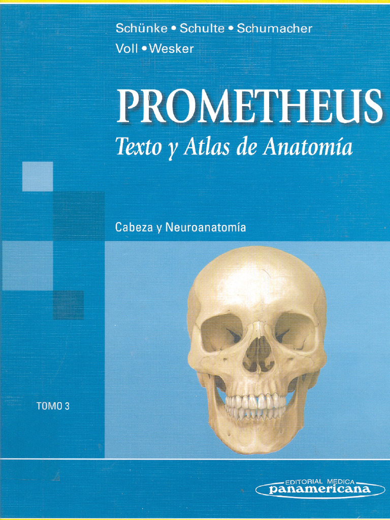 Prometheus - Atlas Anatomía III Edición | PDF