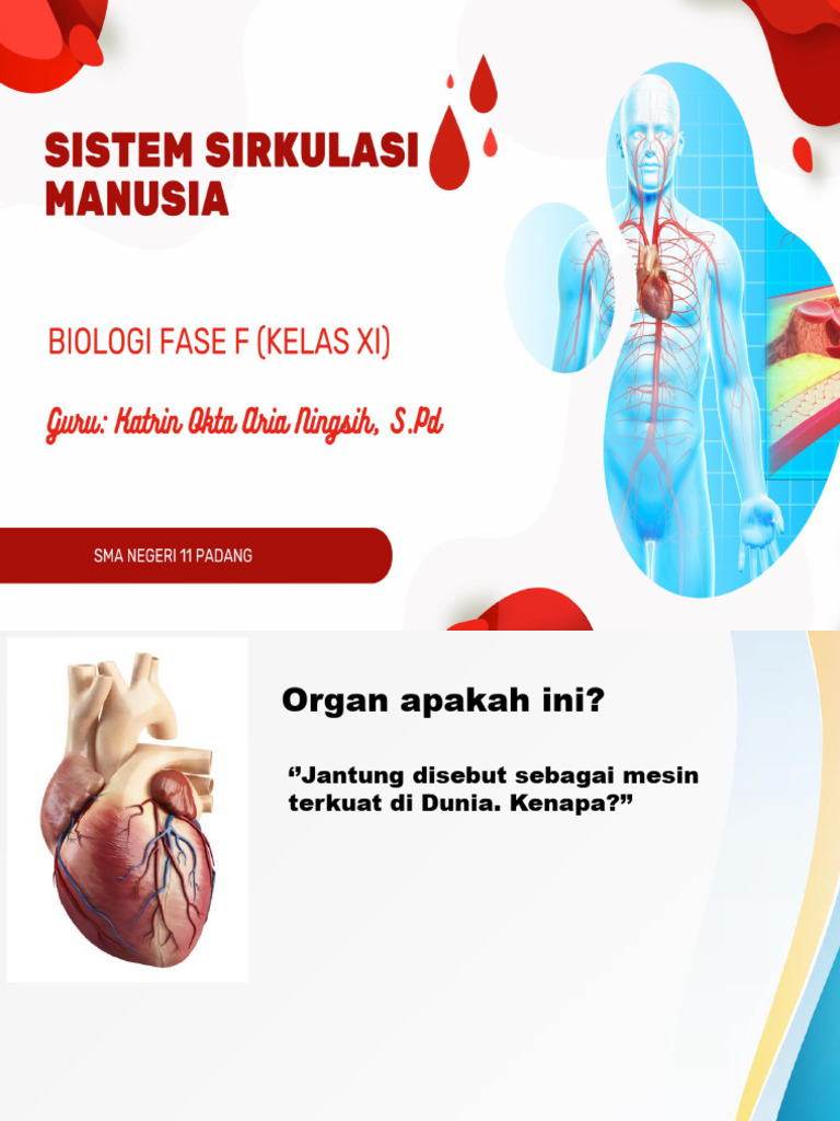 SISTEM SIRKULASI MANUSIA - Copy (2) | PDF