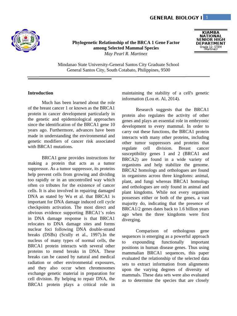 term-paper-sample-format (5) | PDF | Nucleic Acid Sequence | Gene