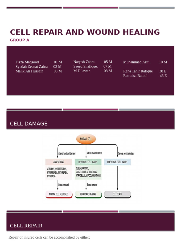 Pathology (3) | PDF | Wound Healing | Inflammation