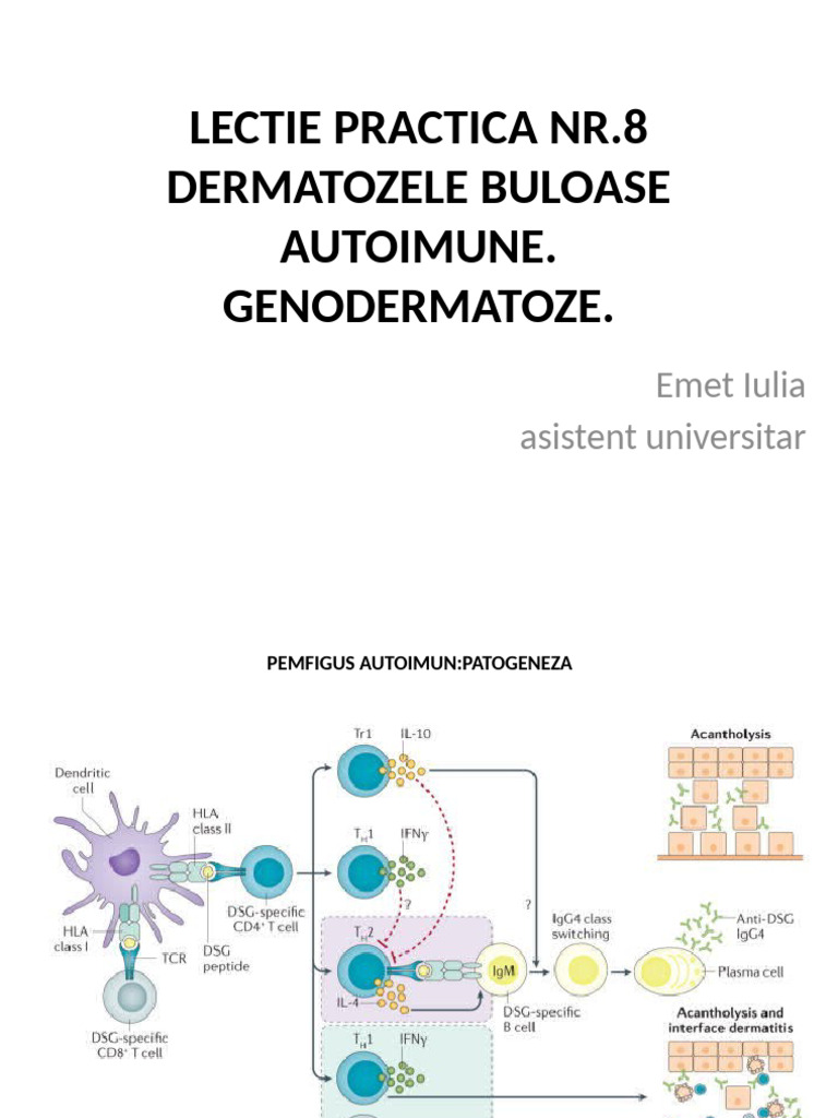 Lectie Practica Nr.8 | PDF