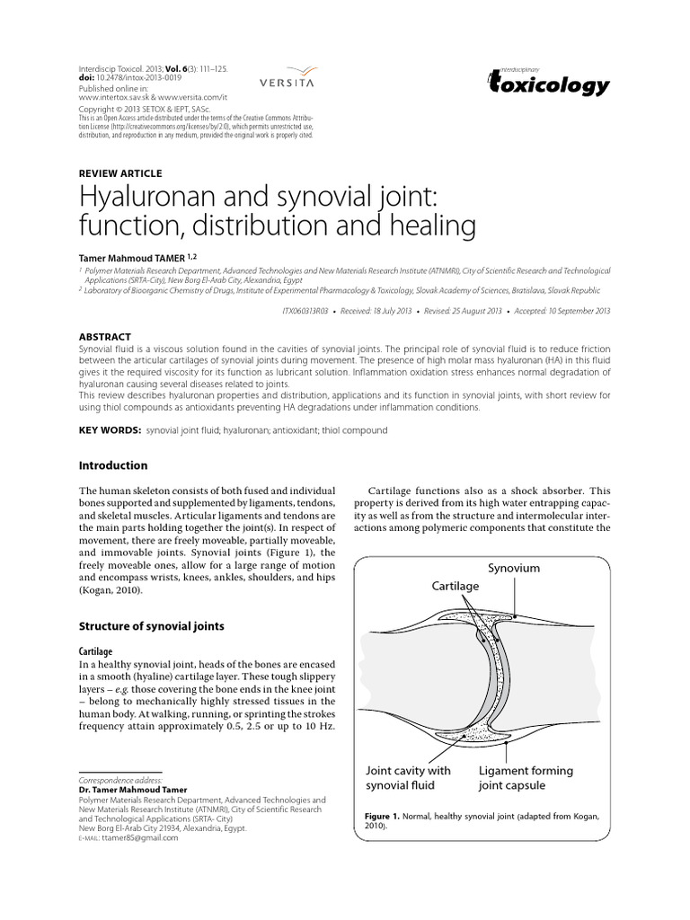 Hyaluronan and Synovial Joint Function, Distribution and Healing | PDF ...
