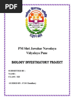 Human Genome Project Class 12 | PDF | Human Genome | Genome