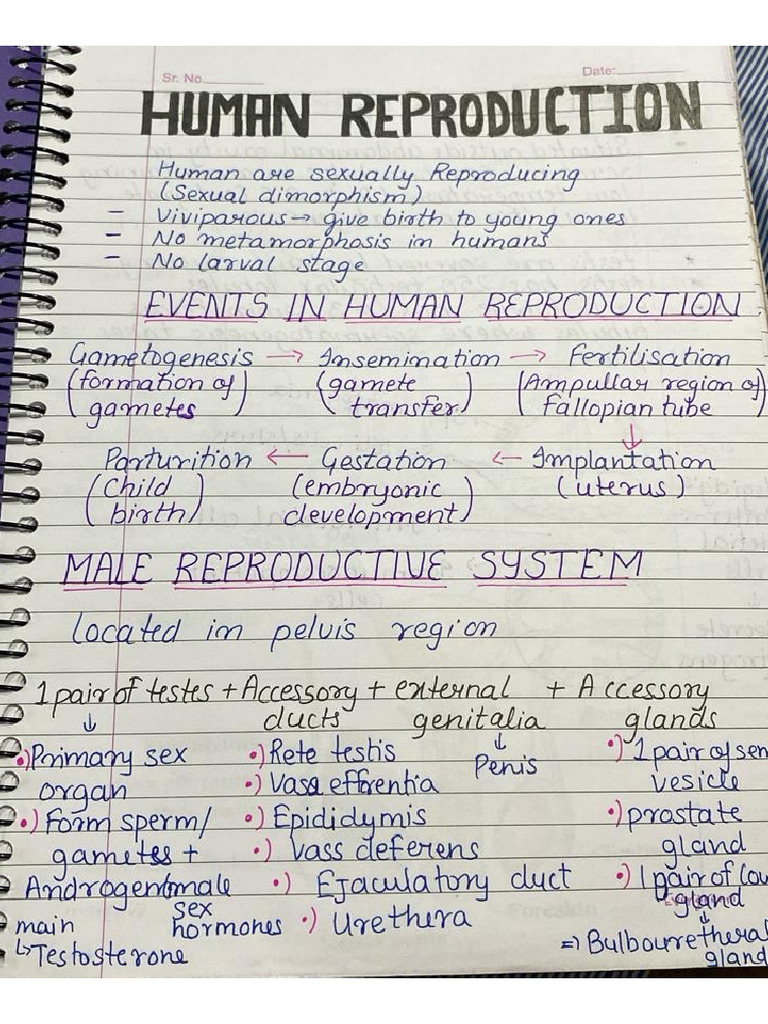 Human Reproduction | PDF