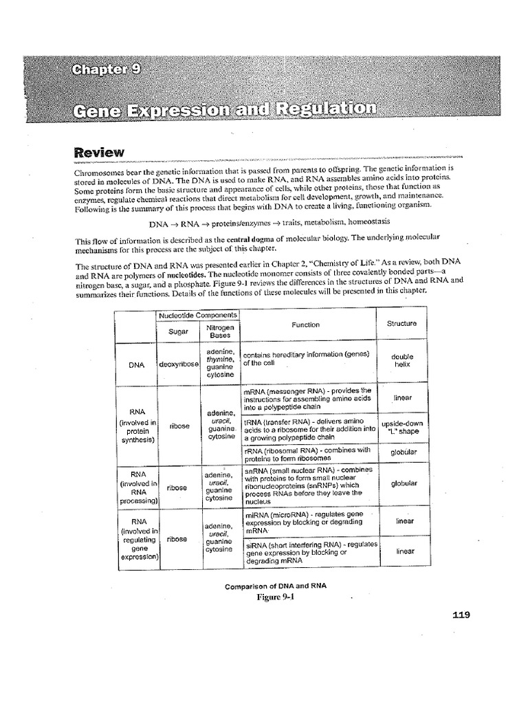 Gene Expression Reading | PDF