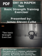 Understanding SIJ: Form and Force Closure | PDF | Pelvis | Vertebral Column