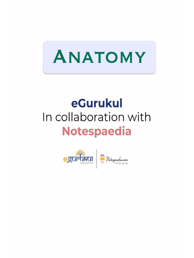 Anatomy LMRP 20 (Medicalstudyzonecom) - 241216 - 141010 | PDF