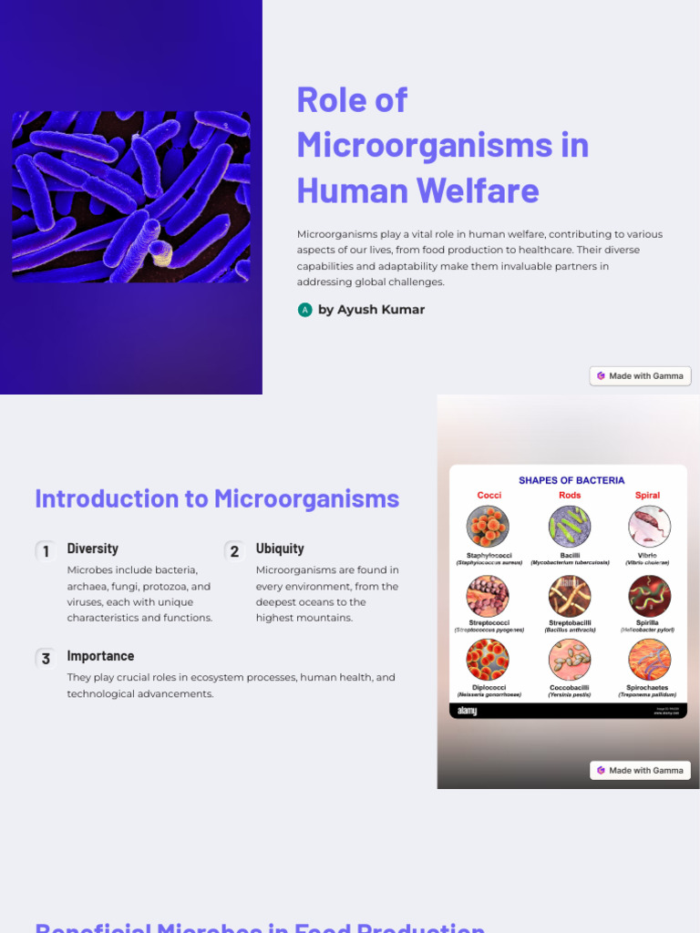 Role of Microorganisms in Human Welfare | PDF | Microorganism | Bacteria