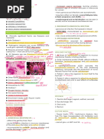 Gram Negative Cocci Flow Chart | PDF | Gram Negative Bacteria | Prokaryote