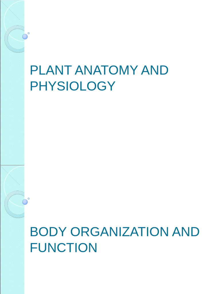 Plant Anatomy and Physiology | PDF | Plant Stem | Leaf