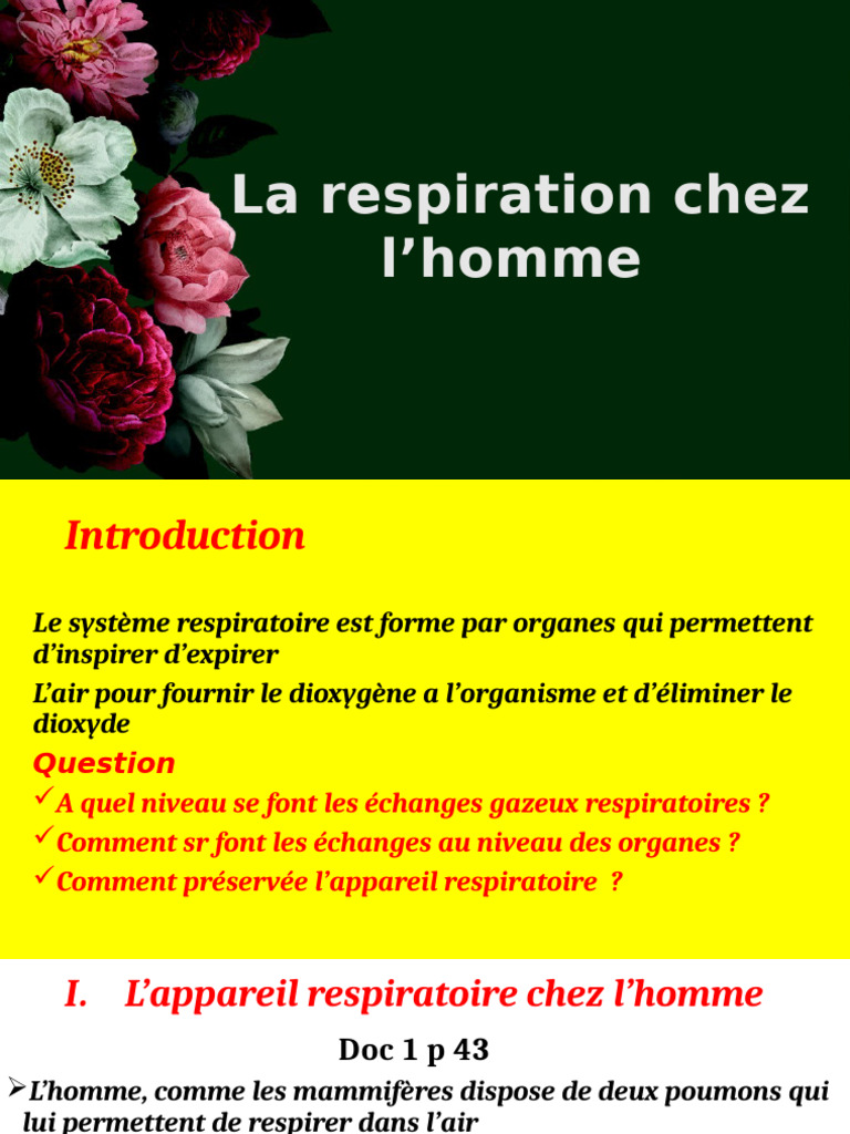 Schéma des échanges gazeux pulmonaires | PDF | Respiration | Système ...