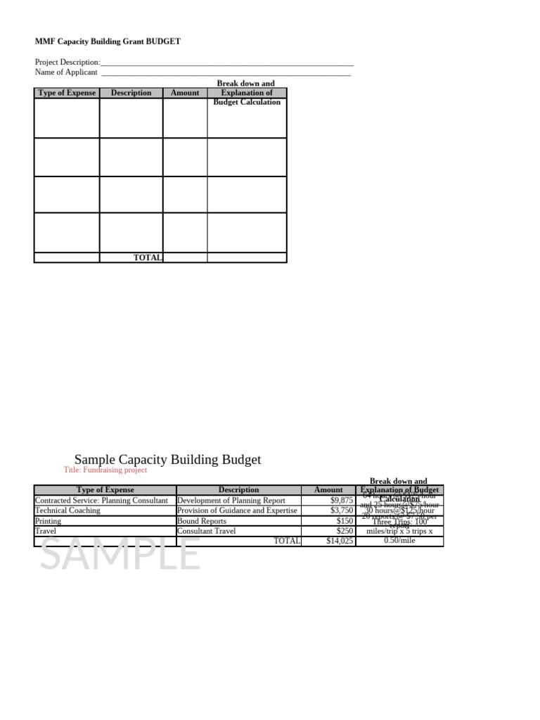 MMF Capacity Building Budget | PDF