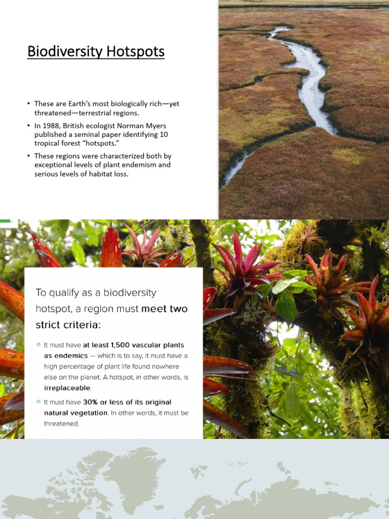 Biodiversity Hotspots | PDF