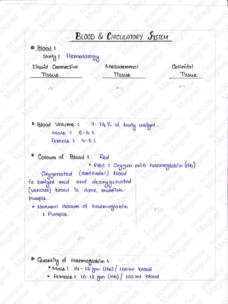 Blood & Circulatory System 7 | PDF