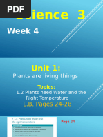 Parts of Plants: Worksheets for Grade 4 | PDF | Plant Stem | Leaf