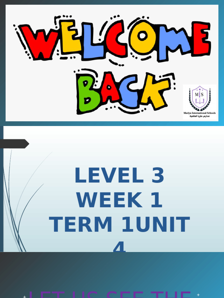 Computer Basics: Input & Output Devices | PDF
