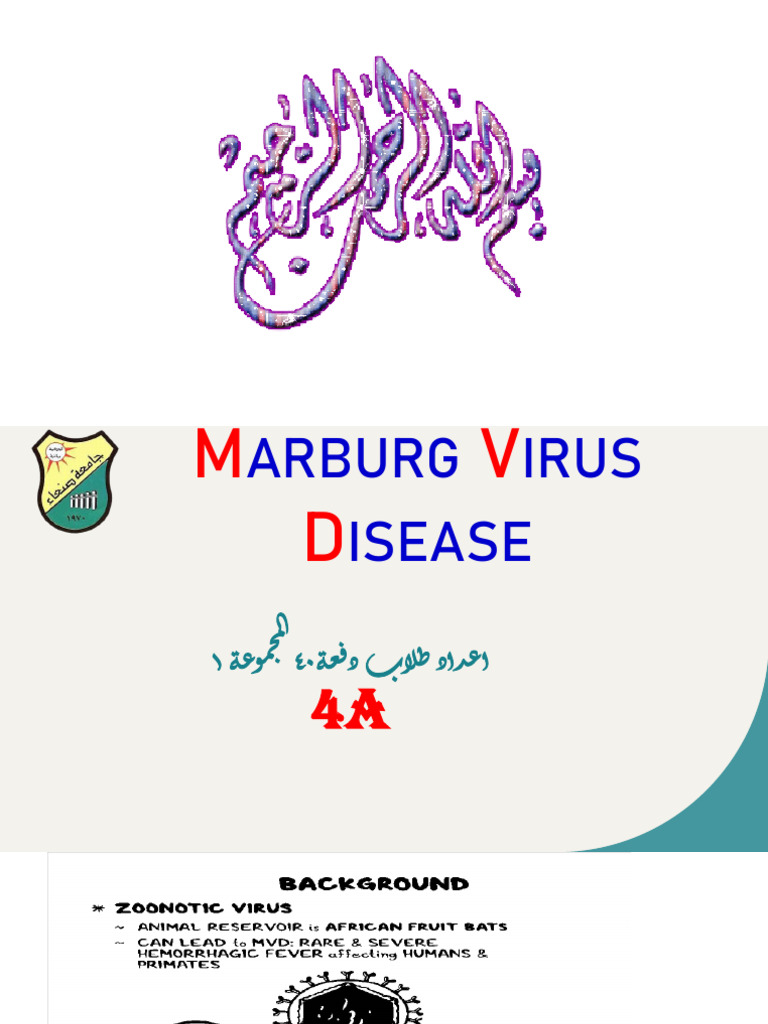 Murburg Virus | PDF
