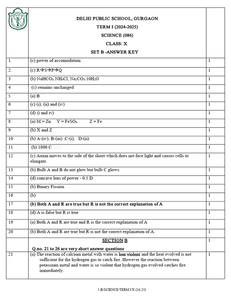 Ms Set B Term 1 Class X 1 Pdf Sunset Sun 4410