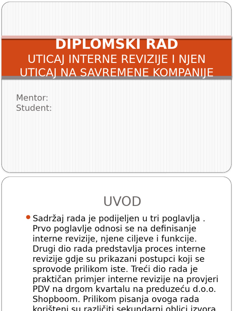 Interna Revizija PP | PDF