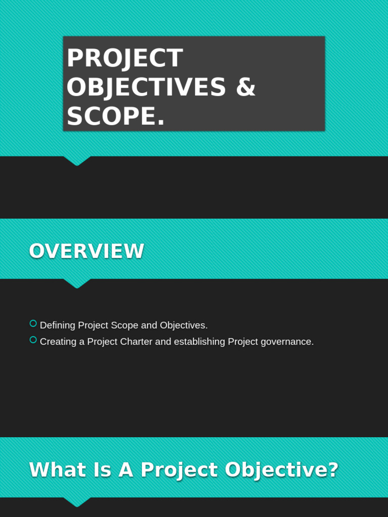 Project Objectives and Scope | PDF | Goal | Business