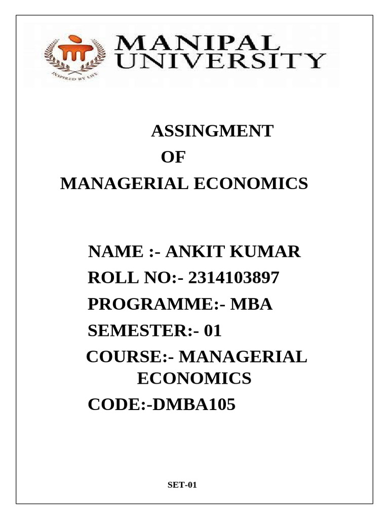 MANAGERIAL ECONOMICS ASSINGMENT Sem01 | PDF | Production Function | Economics