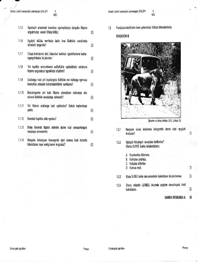 grd11 Fal Class Work Luhlelo | PDF