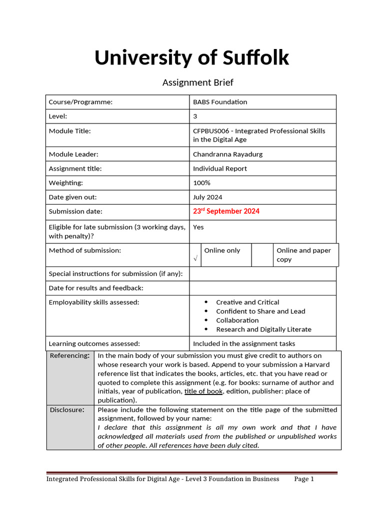 202406_IPSDA-UOS-BABSFy Assessment Brief 2 | PDF | Online And Offline | Knowledge