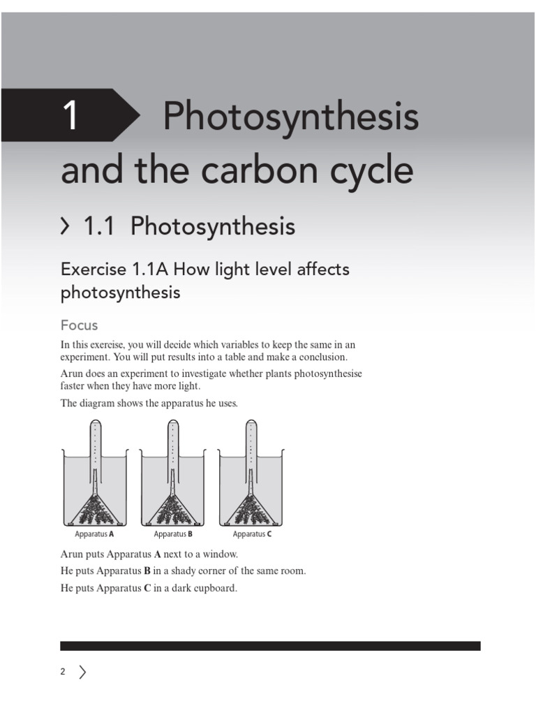 Photosynthesis Experiment Insights | PDF | Photosynthesis | Experiment