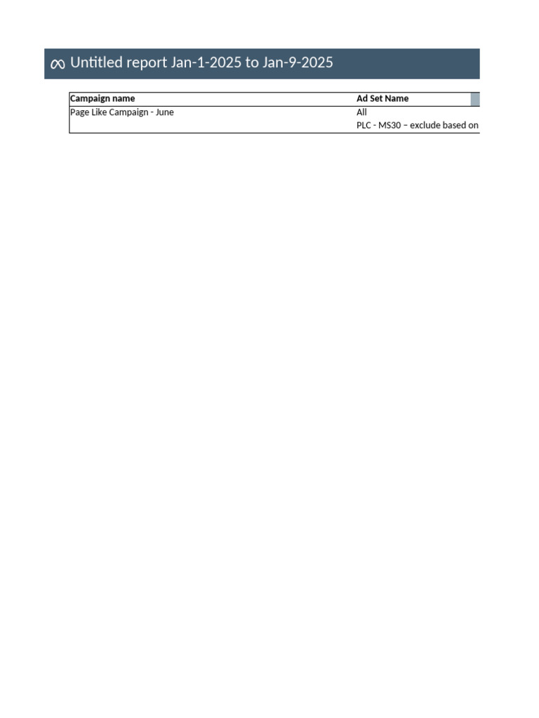Page Like Campaign Report: Jan 2025 | PDF
