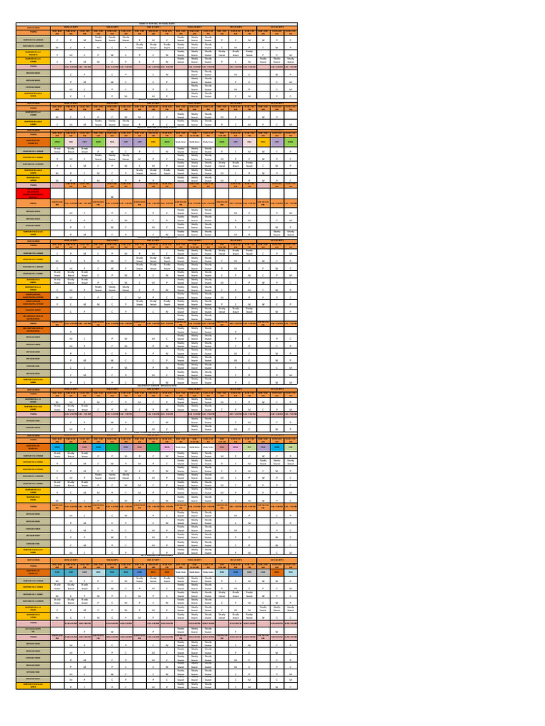 IIT Nurture Enthuse Leader Schedule | PDF