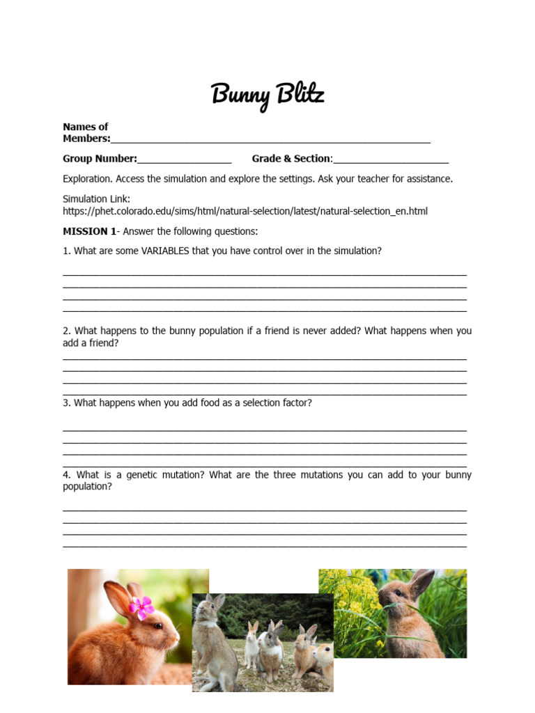 Bunny Blitz Activity | PDF | Mutation | Natural Selection