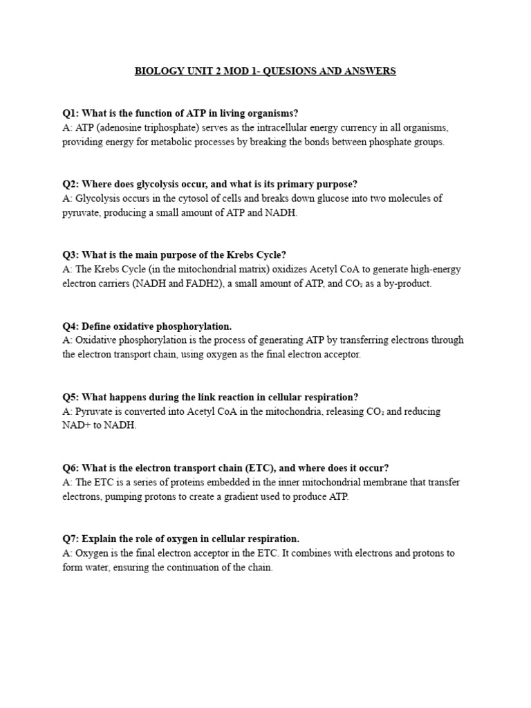 Biology Unit 2: Cellular Respiration Q&A | PDF | Cellular Respiration ...